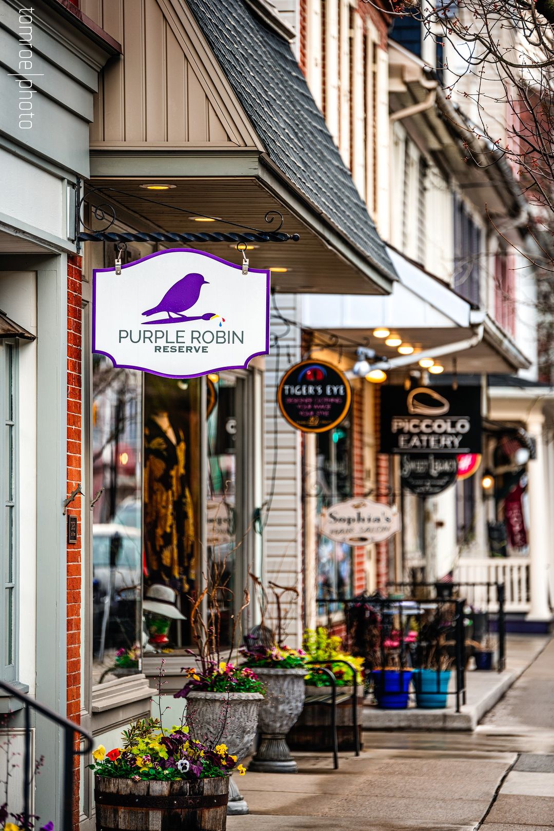 TomRoeStoreFrontMarch2023PlusOthers – Purple Robin Reserve